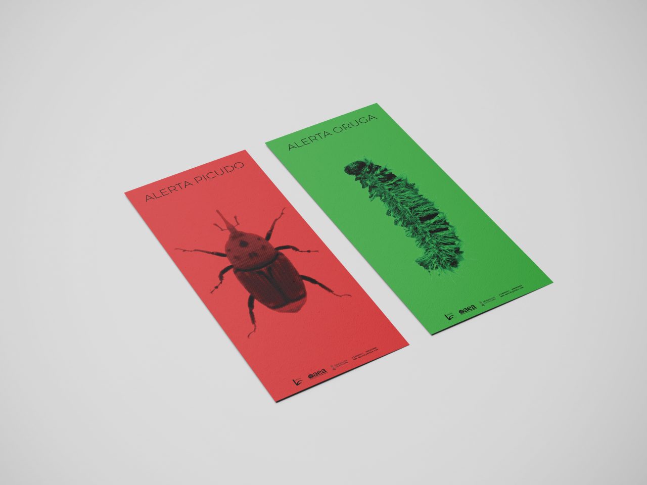 Flyers publicitarios - Klosca Disseny